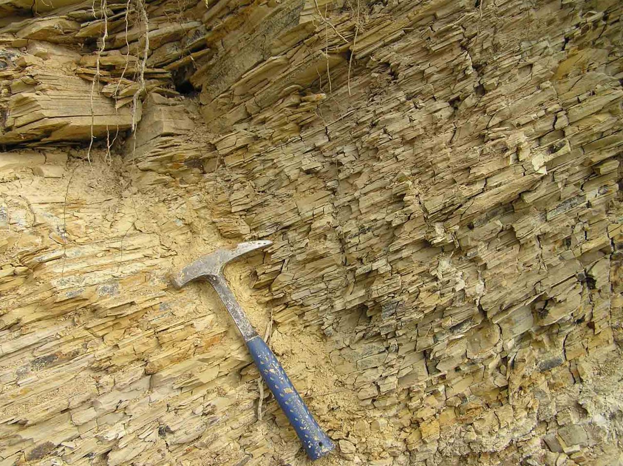Sedimentologija, mineralogija i petrologija sedimentnih stijena ...